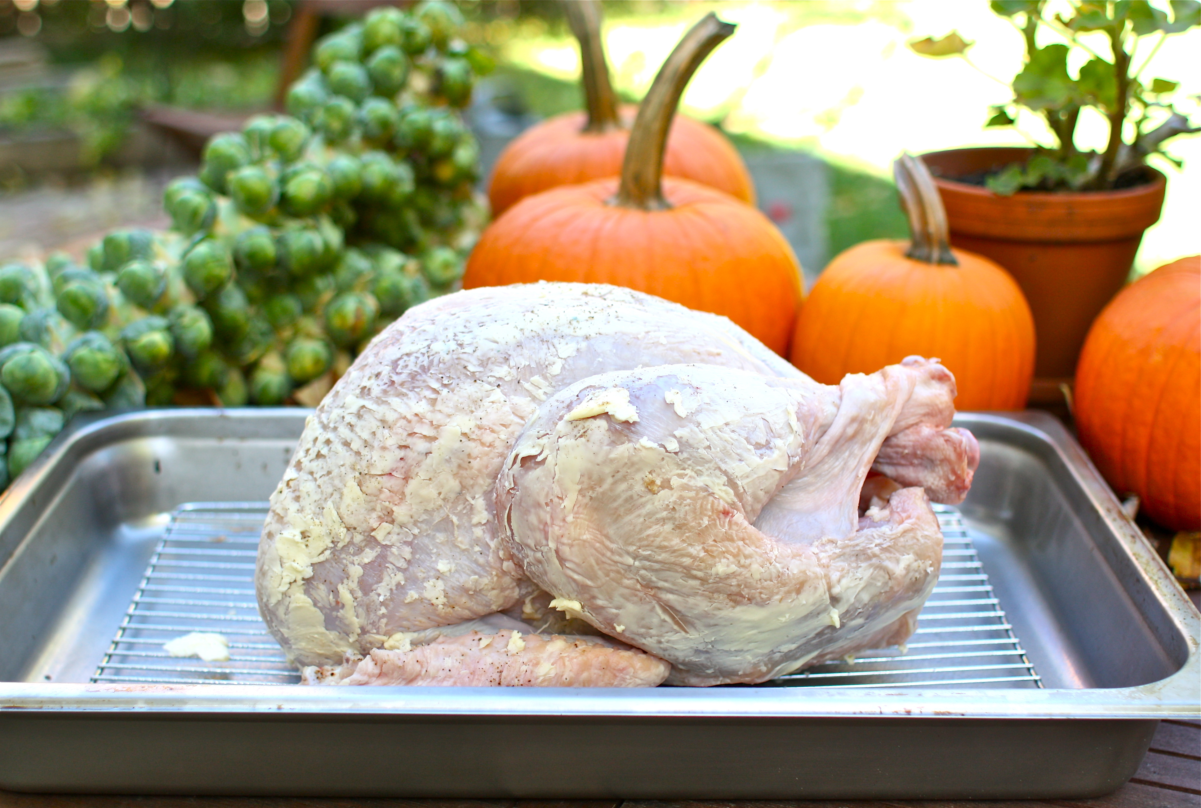 The Best Way To Roast A Turkey the Simple Way The Best Way To Roast A Turkey the Simple Way